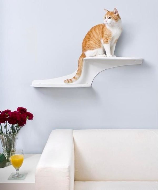Modern Cat Trees: Design Trends for the Contemporary Feline ...